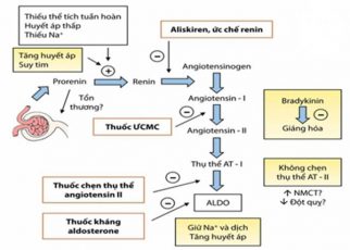 Thuốc ức chế ACE so với thuốc chẹn beta để điều trị huyết áp cao
